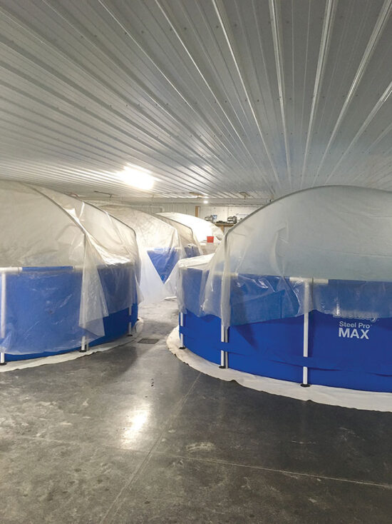 Biochemist Boldly Takes Up Shrimp Farming - Aquaculture North America